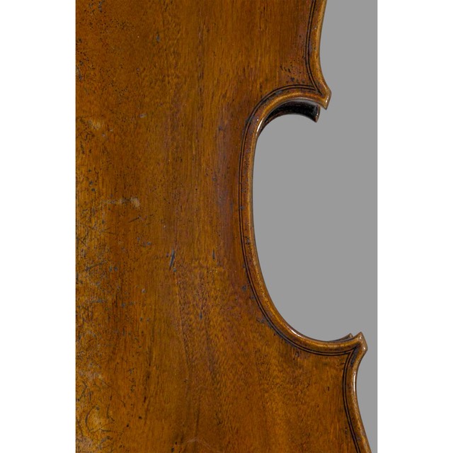 16 7/16" Strad model viola back C bout| David Polstein Violin Maker
